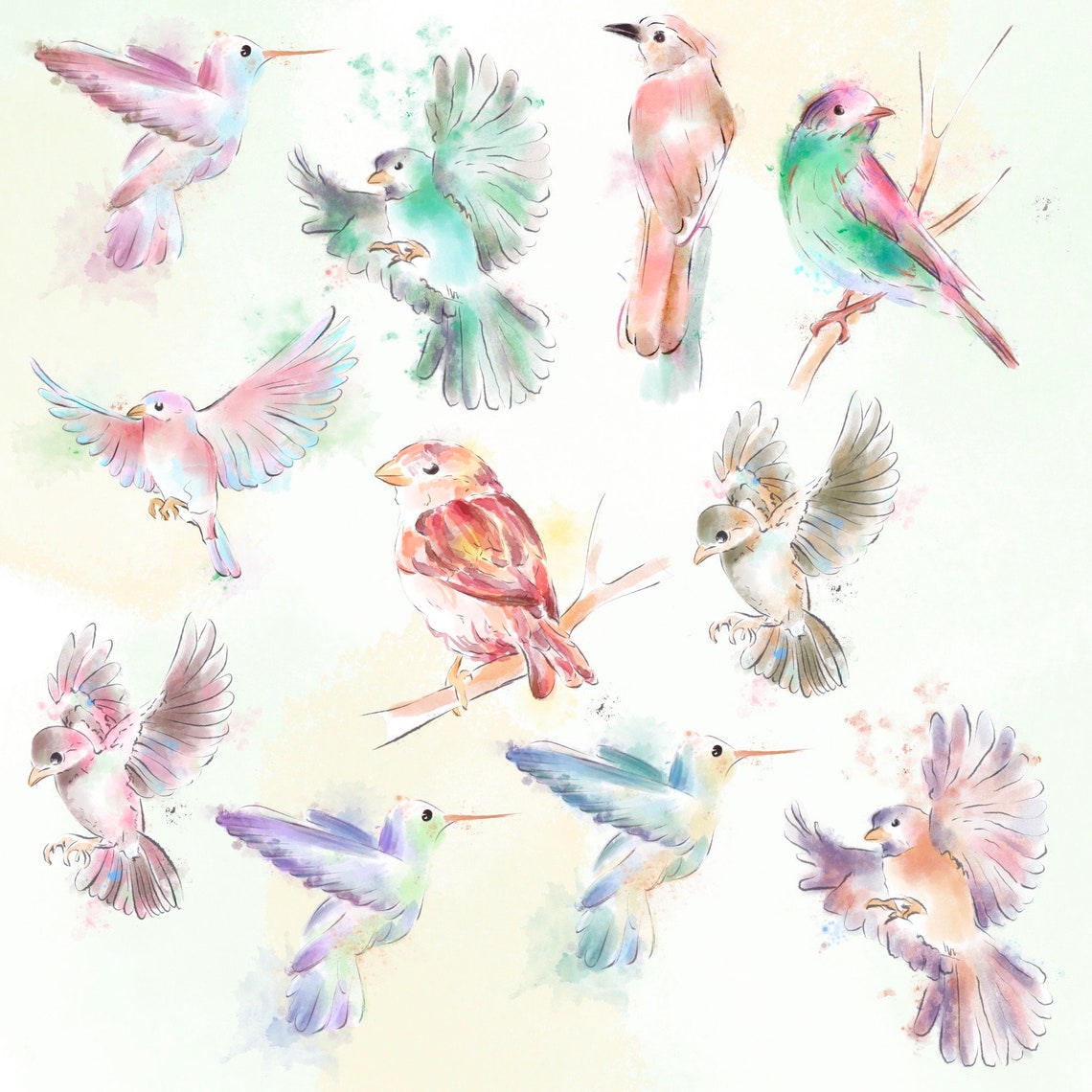 Clipart Watercolor Birds Set of Drawings of Watercolor Birds Spring ...