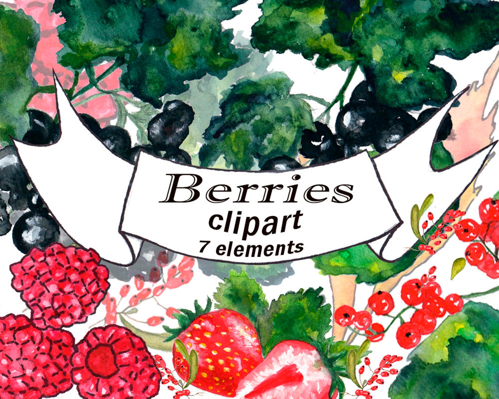 Berries Watercolor Clip Art. Clipart Barberry Red-7 Files | Etsy