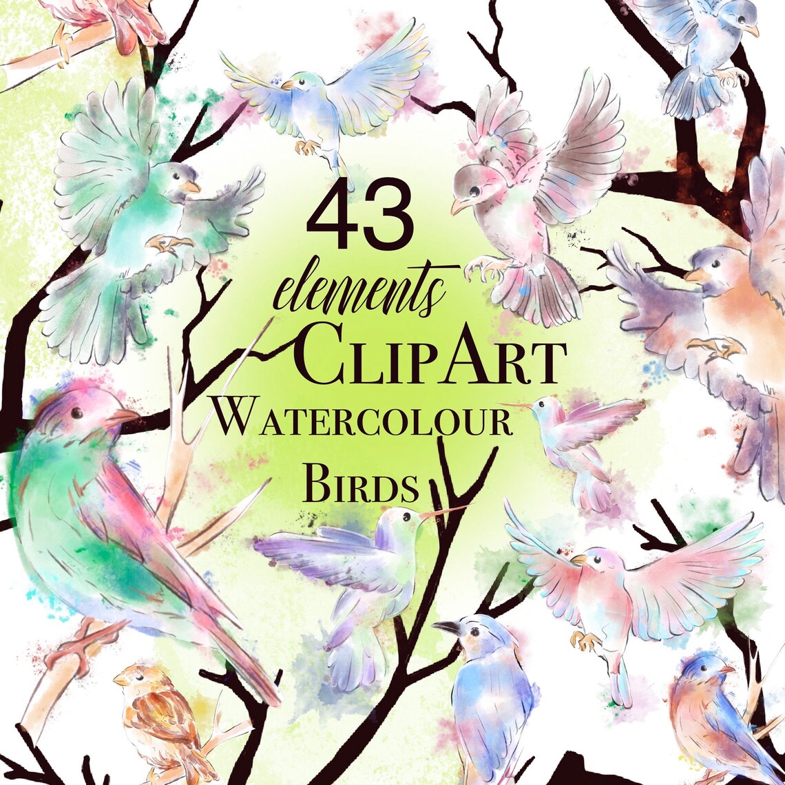 Clipart Watercolor Birds Set of Drawings of Watercolor Birds Spring ...