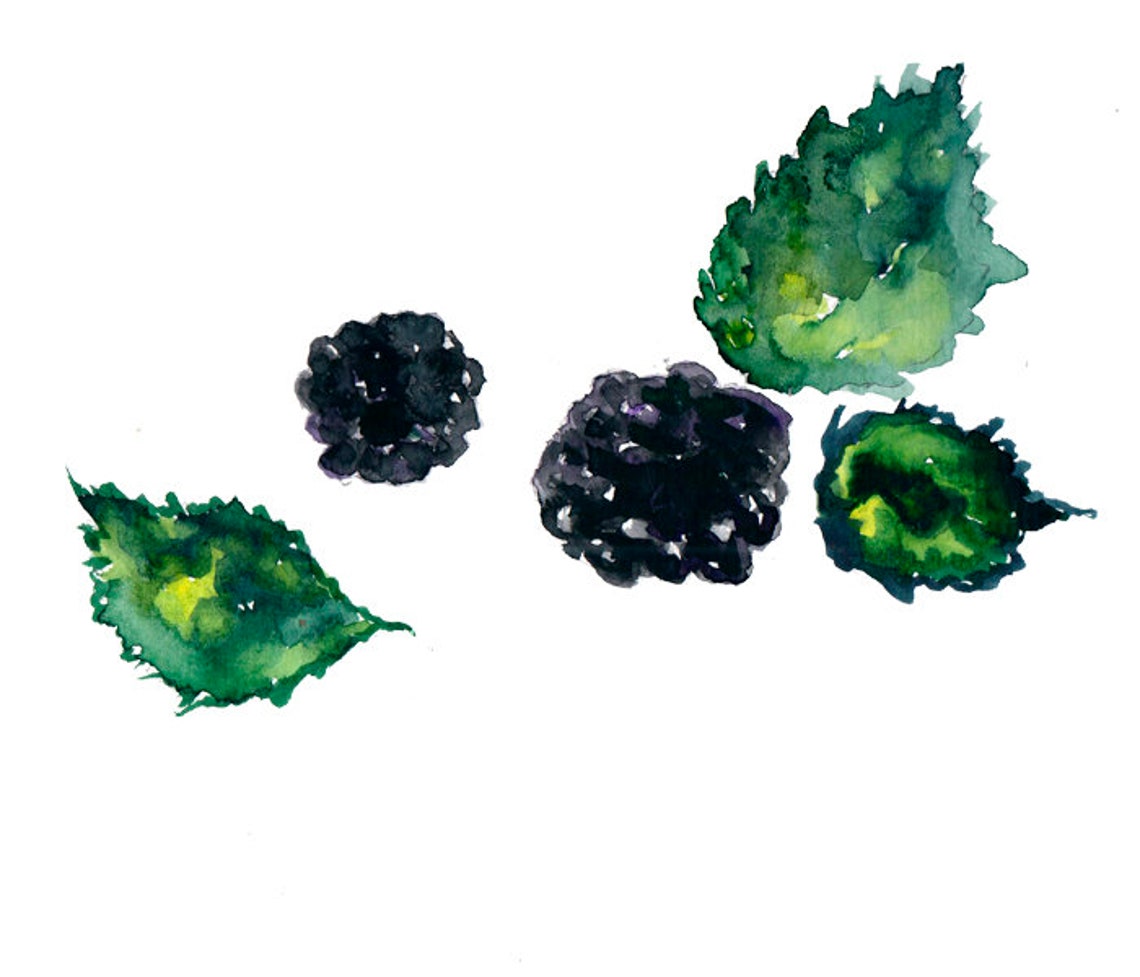 Berries Watercolor Clip Art. Clipart Barberry Red-7 Files | Etsy