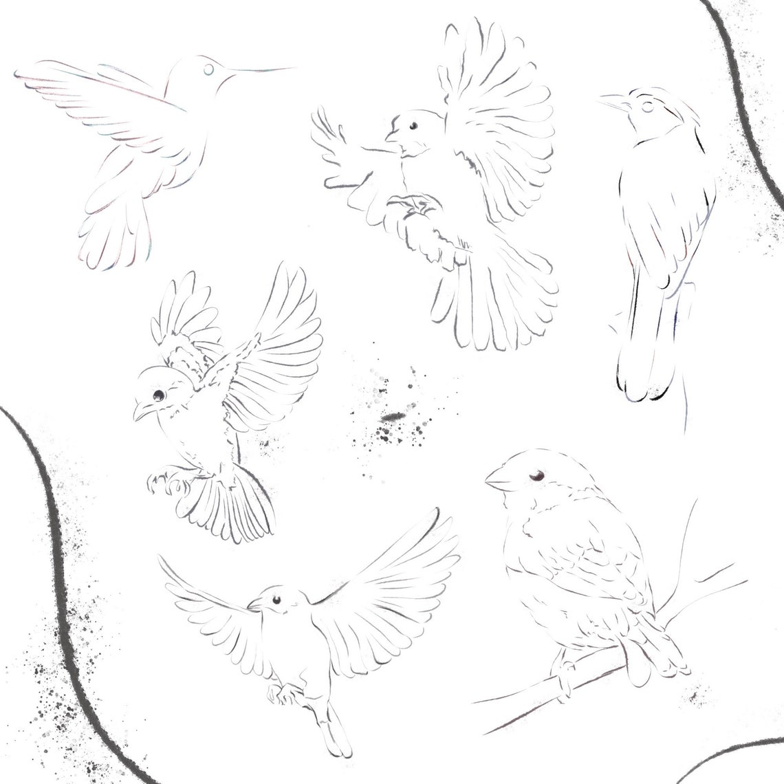 Clipart Watercolor Birds Set of Drawings of Watercolor Birds Spring ...