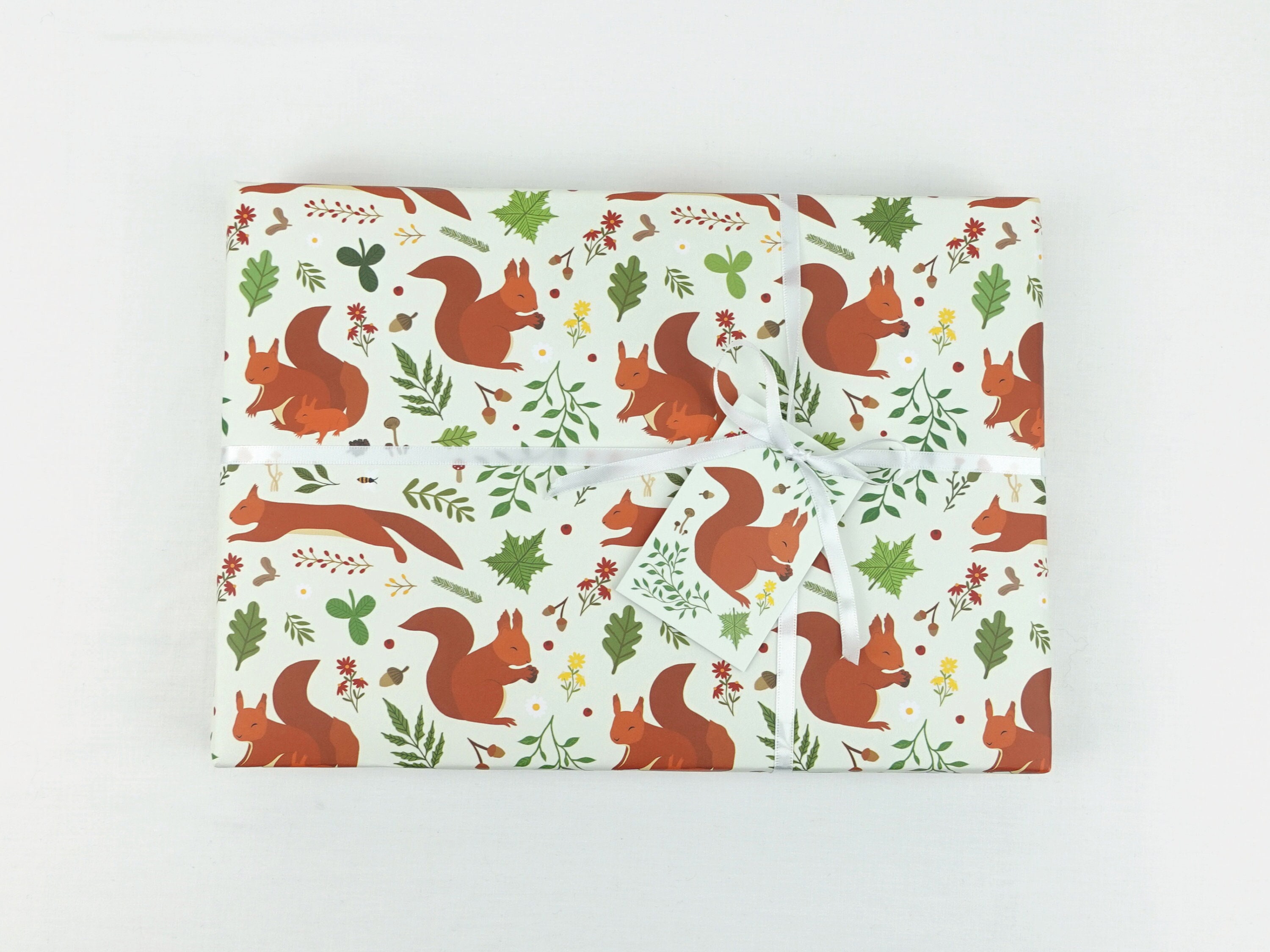 Red Squirrel Wrapping Paper Woodland Animal Eco Friendly - Etsy UK