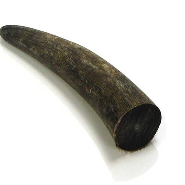 Horn - Etsy