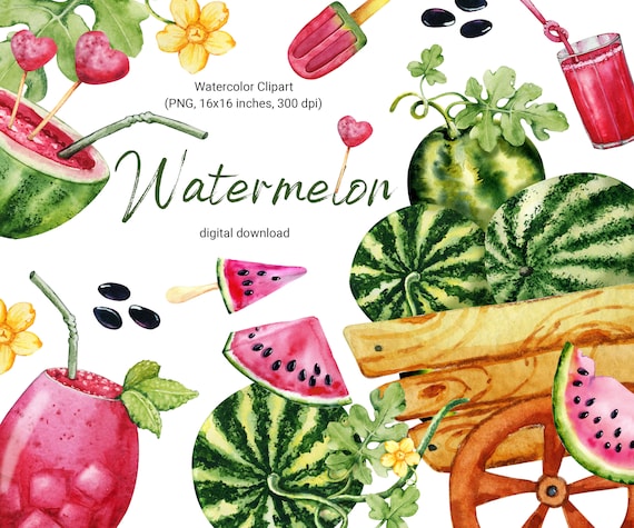 Watercolor Watermelon Clipart Summer Juicy Fruits and Drinks - Etsy