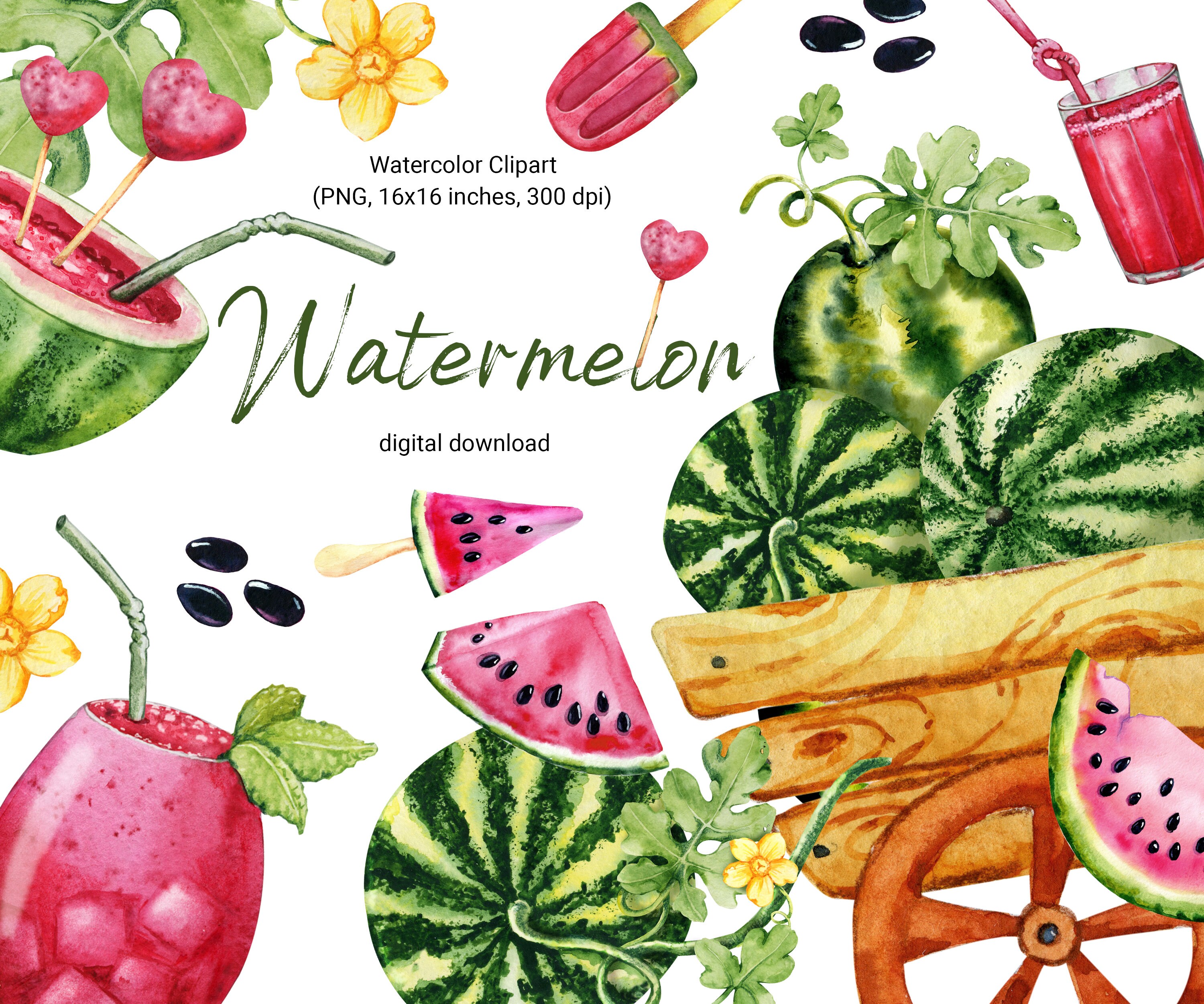 Watercolor Watermelon Clipart Summer Juicy Fruits and Drinks - Etsy