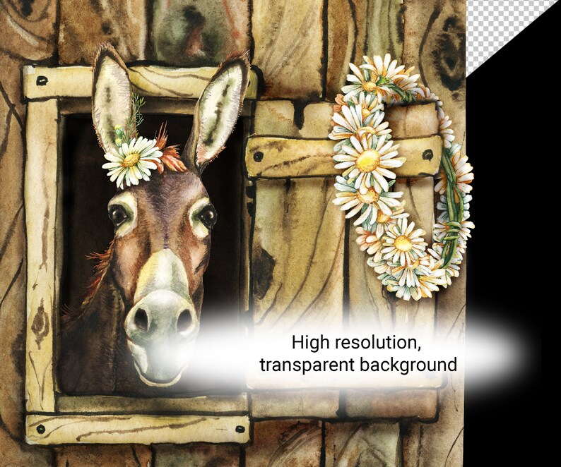 Donkey and Windmill Clipart Watercolor Sublimation Wind Pump - Etsy