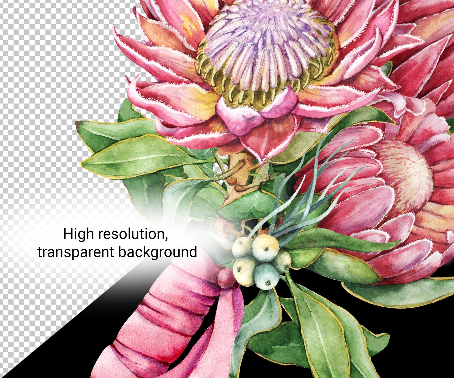 Protea Flower Watercolor Clipart Wreath Frames Bouquet - Etsy