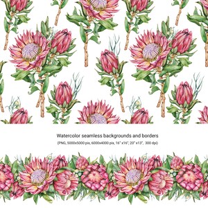 Protea Flower Watercolor Clipart, Wreath, Frames, Bouquet, Border, PNG ...