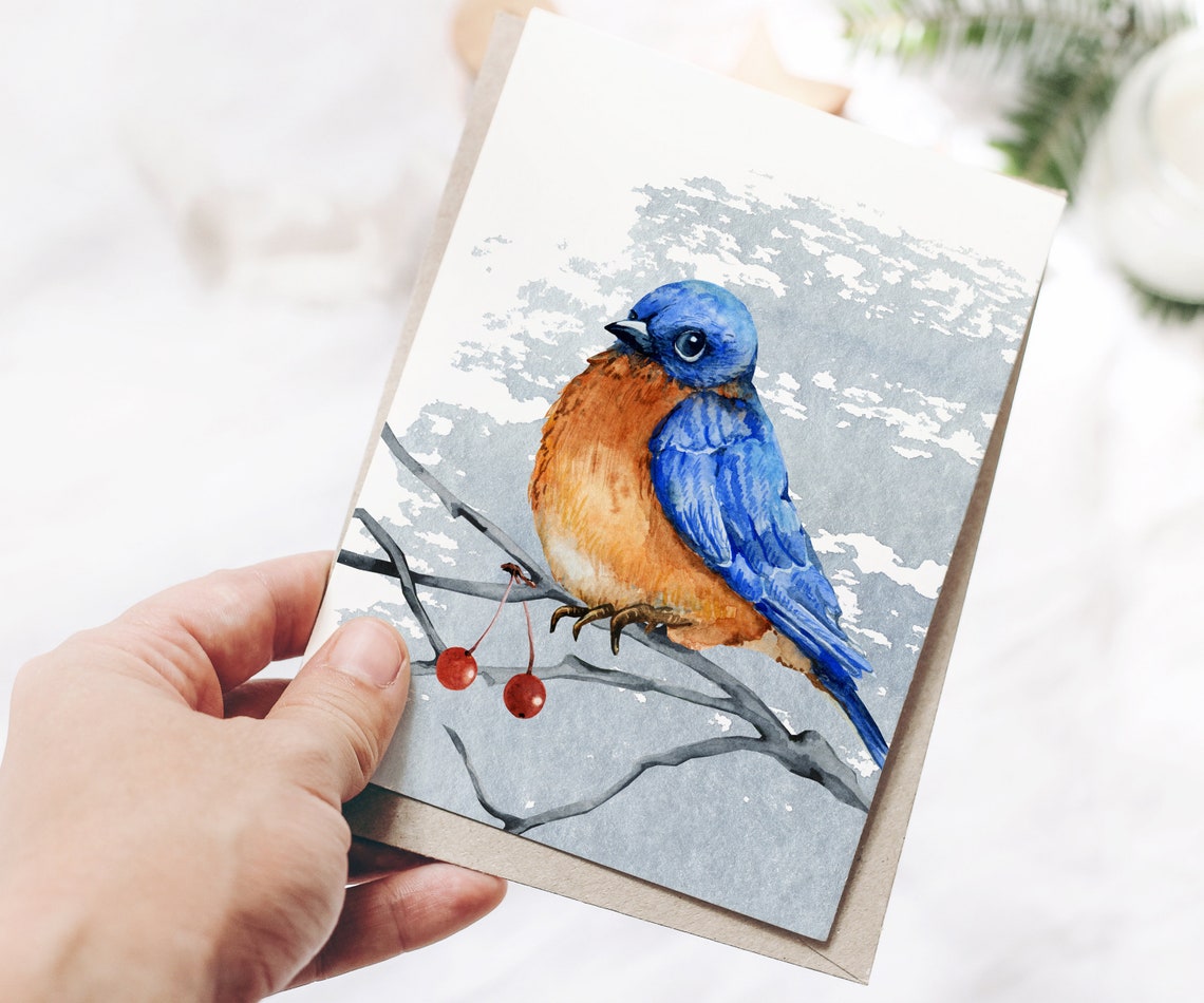 Watercolor Blue Bird Clipart Winter Animal Set Christmas - Etsy