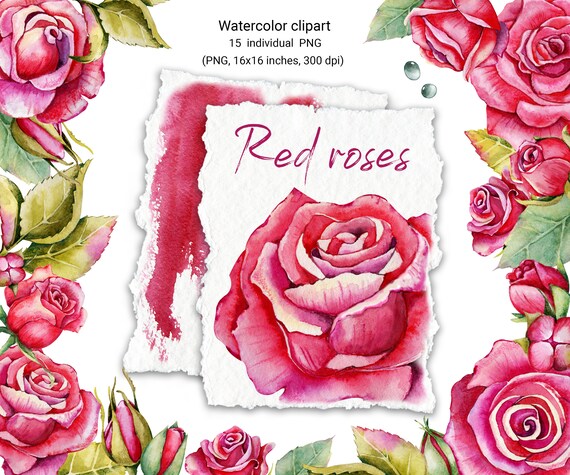 Watercolor Pink Roses Clipart. Hand Painted Wedding Vintage | Etsy