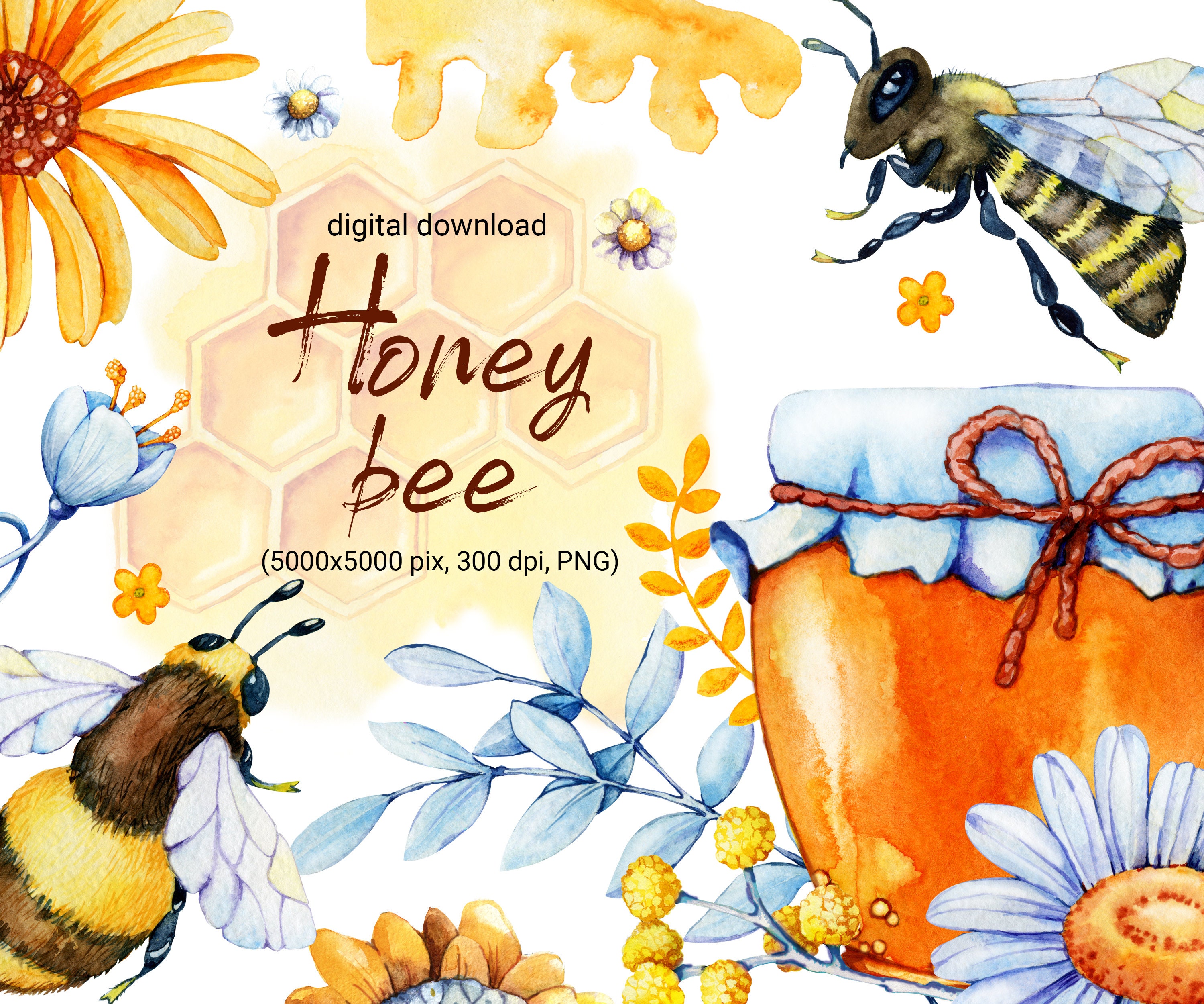 Honey Bee Watercolor Clipart Bumblebee Wasp Meadow Grasses | Etsy