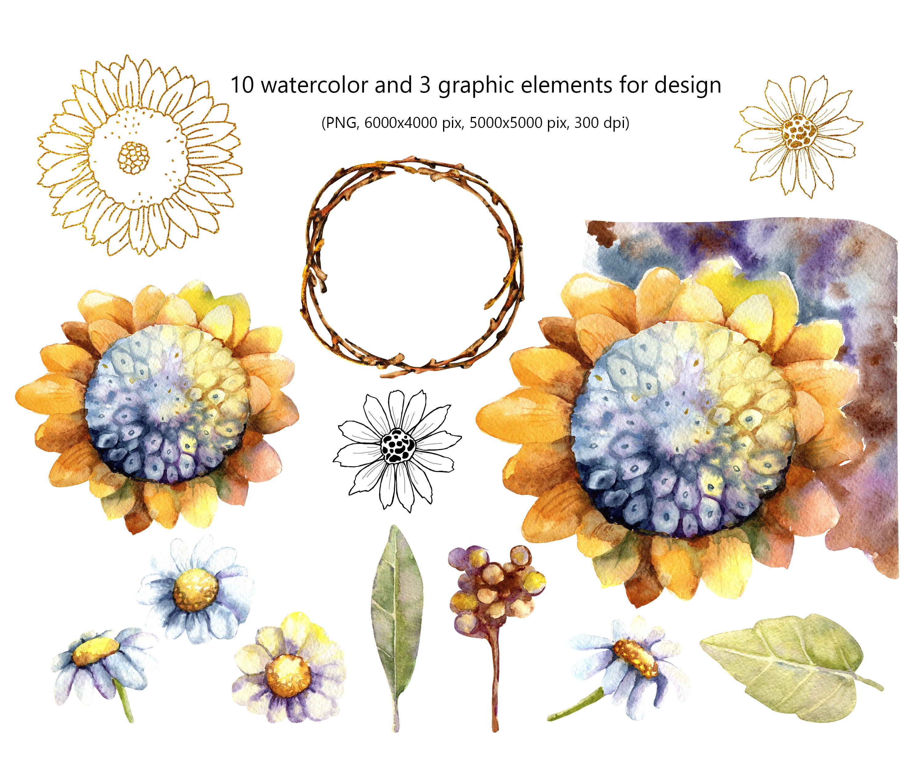 Clipart Golden Sunflowers and Daisy Flowers. Watercolor - Etsy