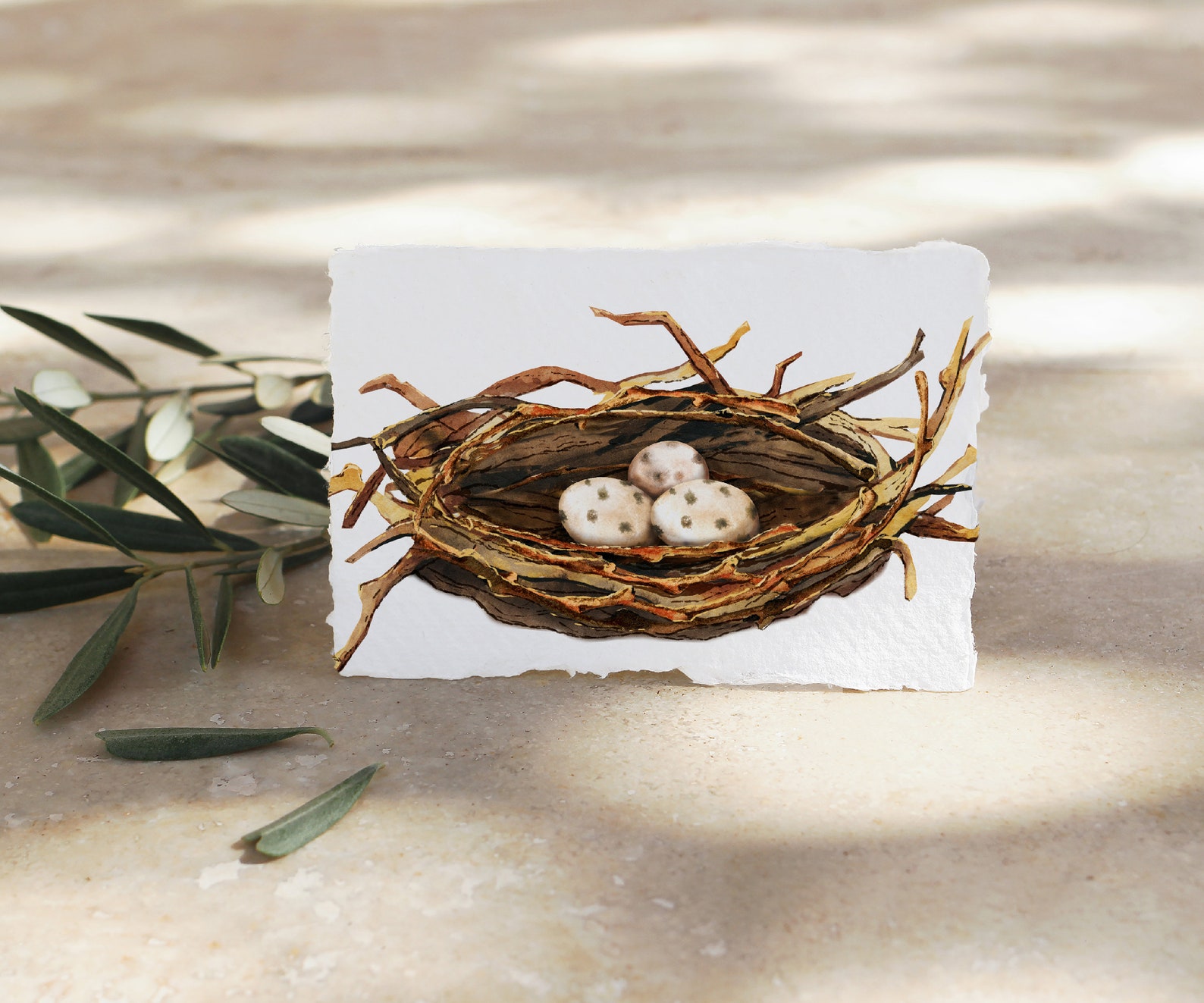 Spring Birdhouse Nest With Eggs Delicate Greenery - Etsy