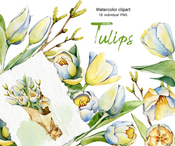 Watercolor tulip clipart Spring flower bouquet white flowers | Etsy