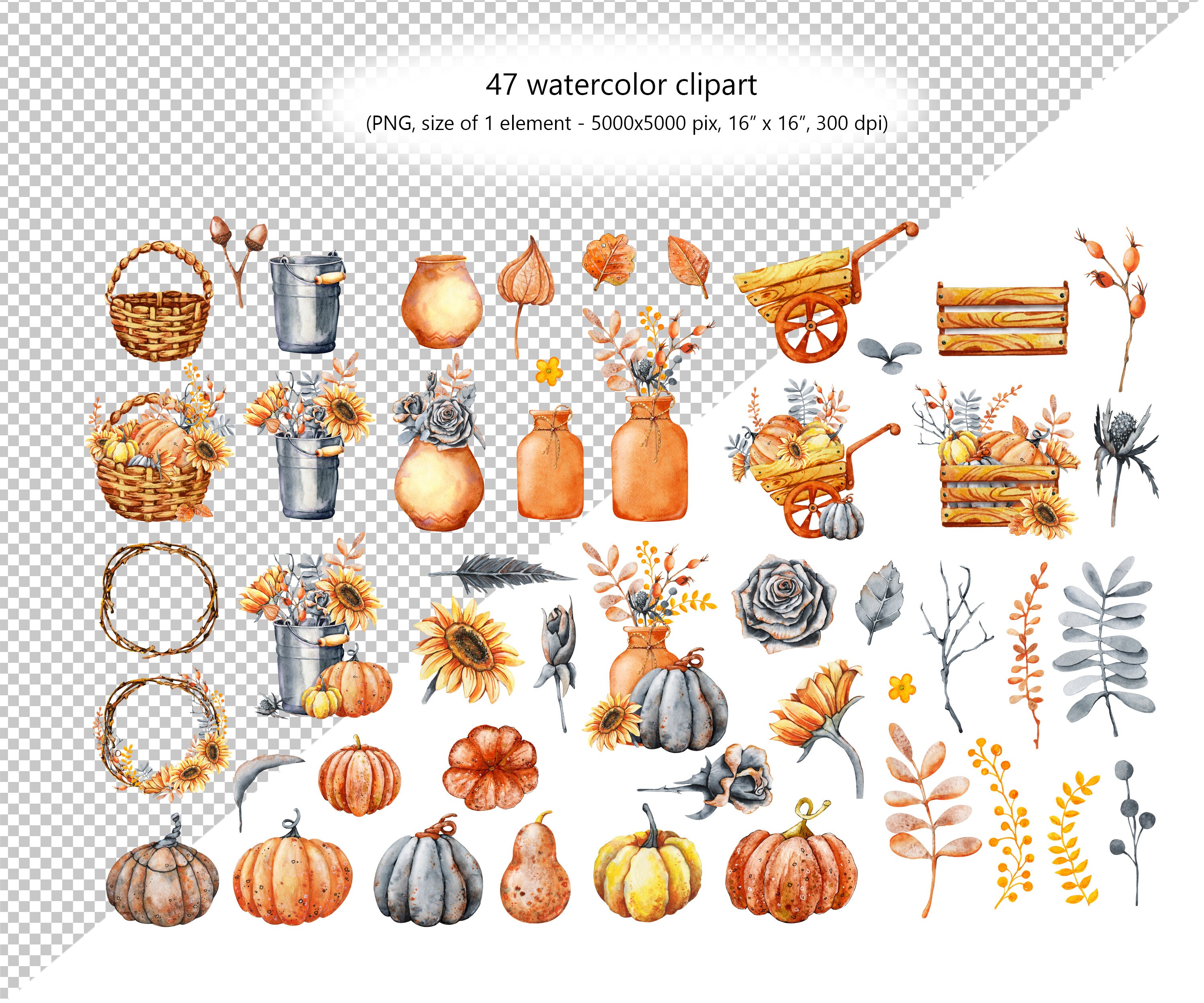 Watercolor Autumn Clipart Thanksgiving Decor Pumpkin - Etsy
