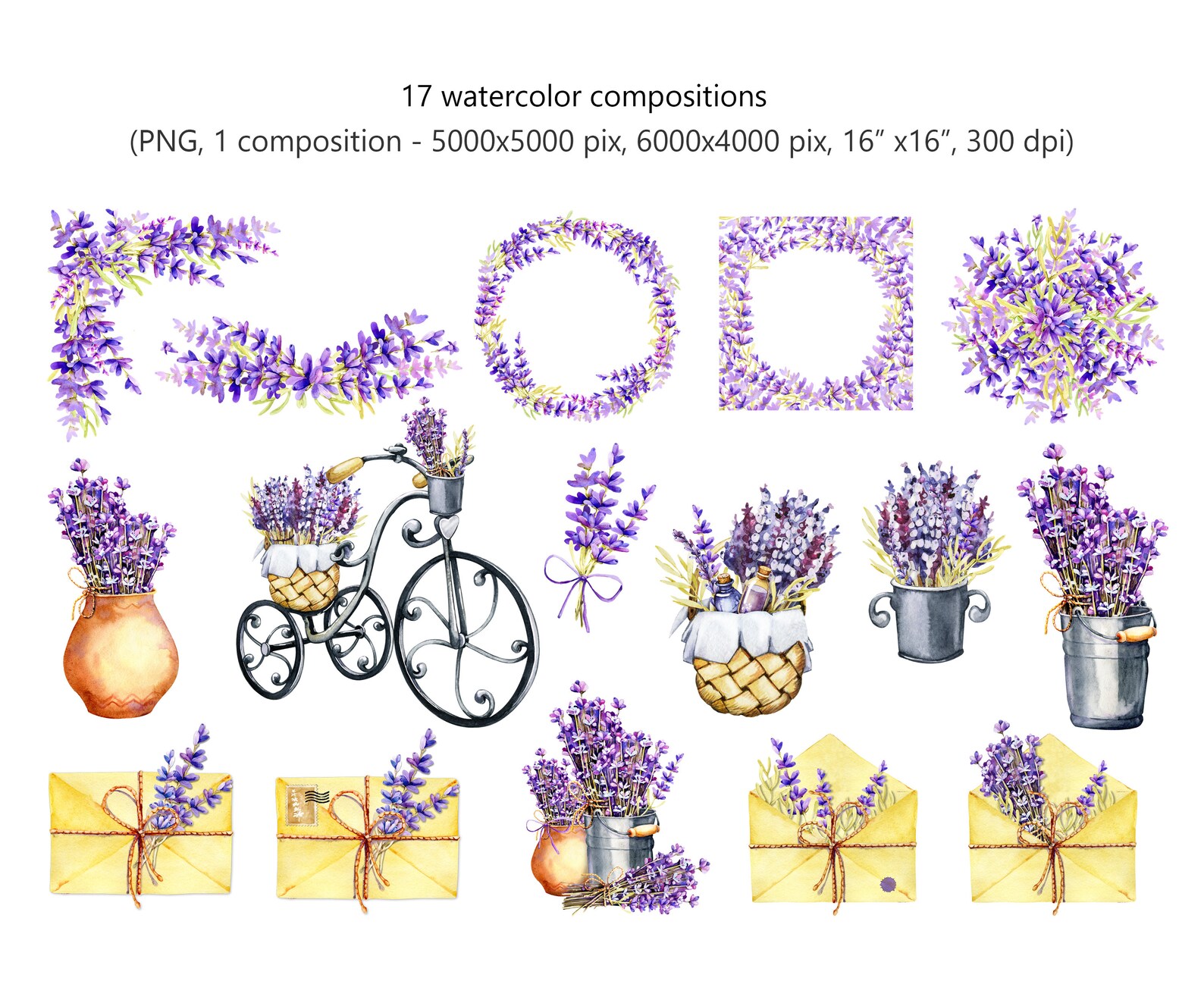 Provence Lavender Clipart Watercolor Purple Flowers Vintage - Etsy