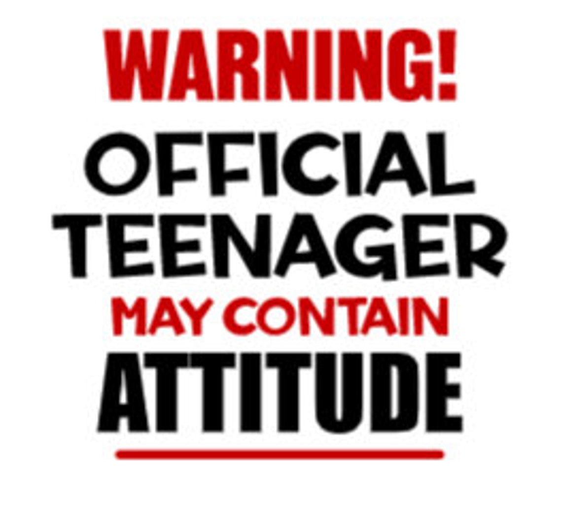 Warning Official Teenager May Contain Attitude Black Unisex - Etsy