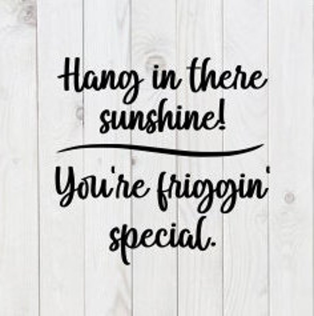 Hang in There Sunshine, You're Friggin' Special, Funny Svg File, Pdf ...