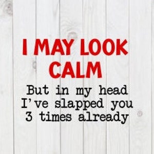 I May Look Calm, but in My Head I've Slapped You 3 Times Already, Funny ...