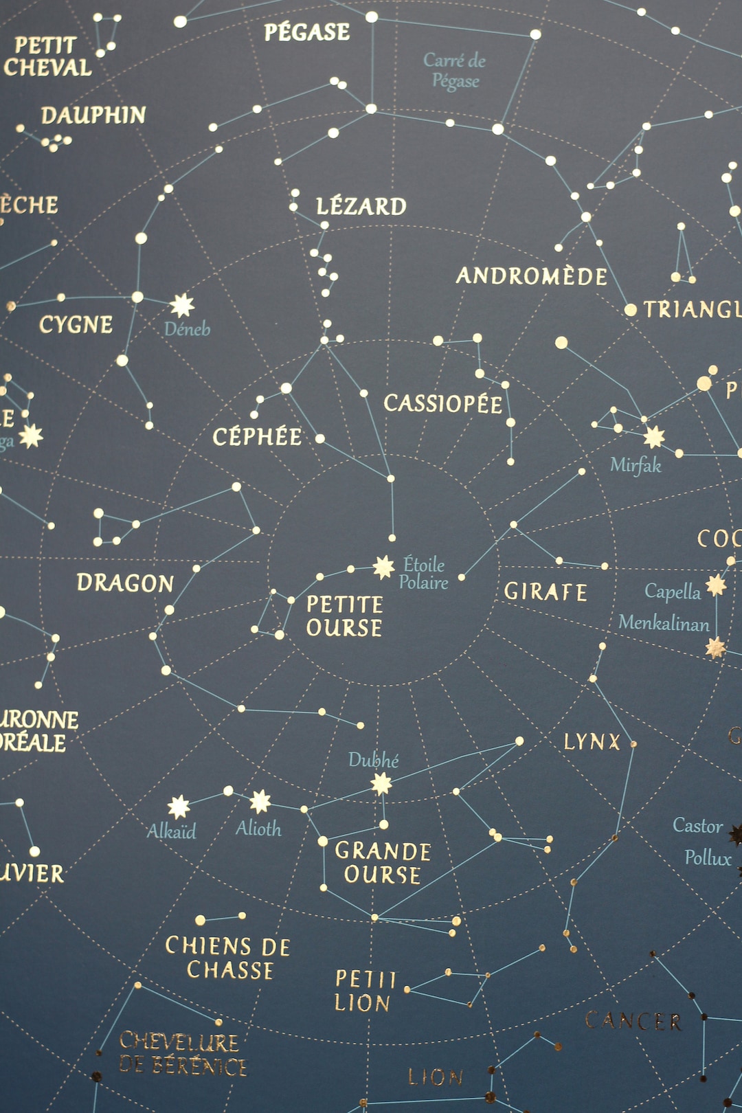 Map of the Constellations - Etsy
