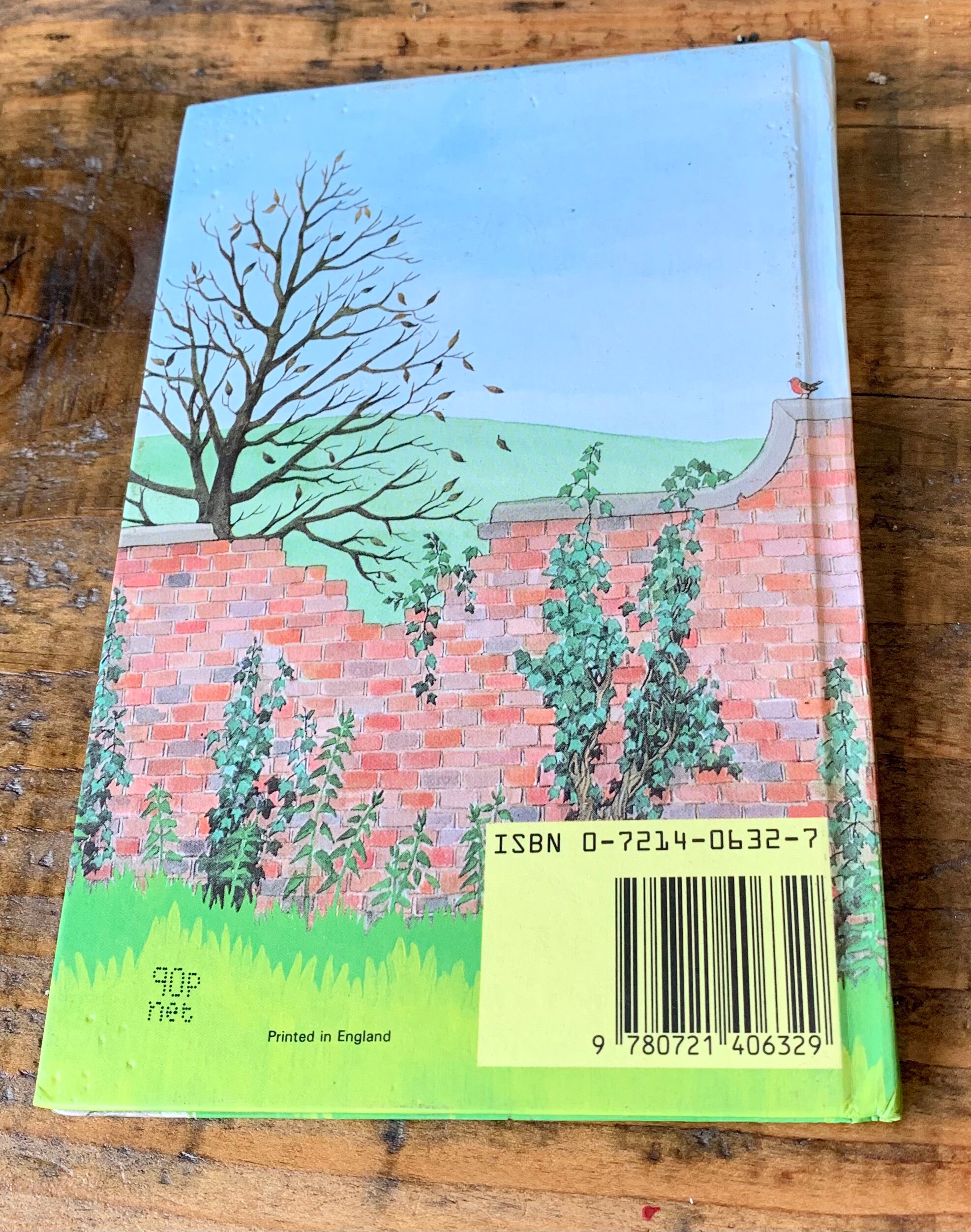 Vintage 1994 Ladybird First Edition Children's | Etsy
