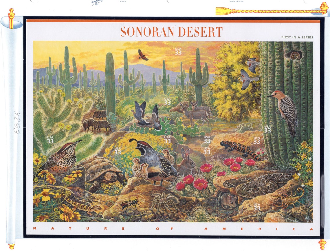 SONORAN DESERT SCENE Sheet of 10 Nature of America Series 1 of 12 Fresh ...