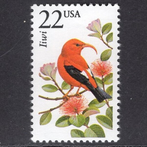 Vintage Bird Stamps - Etsy