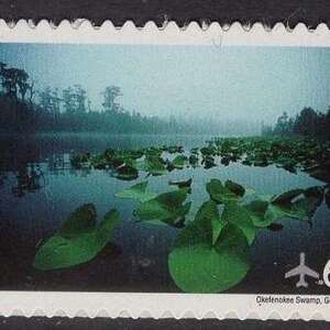 OKEFENIKEE SWAMP FLORIDA Georgia Sheet of 20 Scenic Usa Landscapes ...