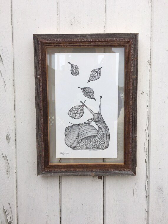 Original Pen and Ink Snail Drawing Reclaimed Wood Frame | Etsy