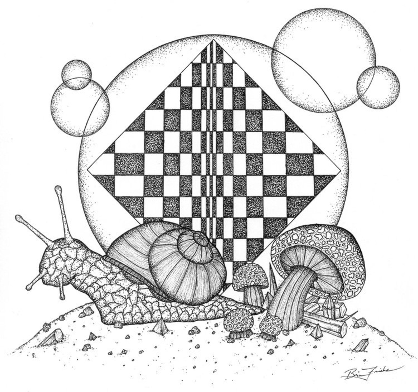 Original Pen and Ink Snail Drawing Reclaimed Wood Frame - Etsy