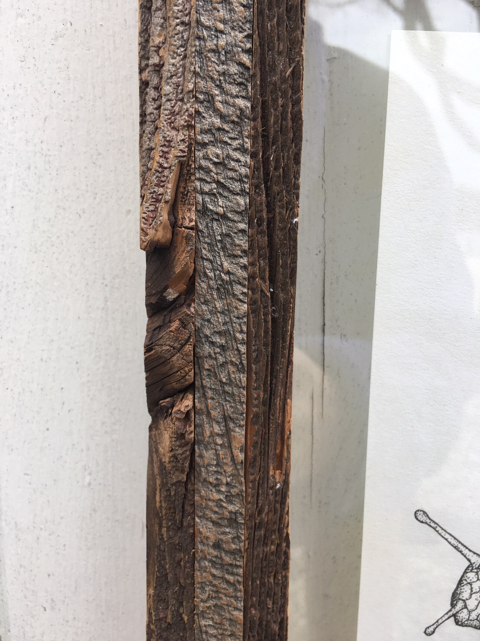 Original Pen and Ink Snail Drawing Reclaimed Wood Frame - Etsy