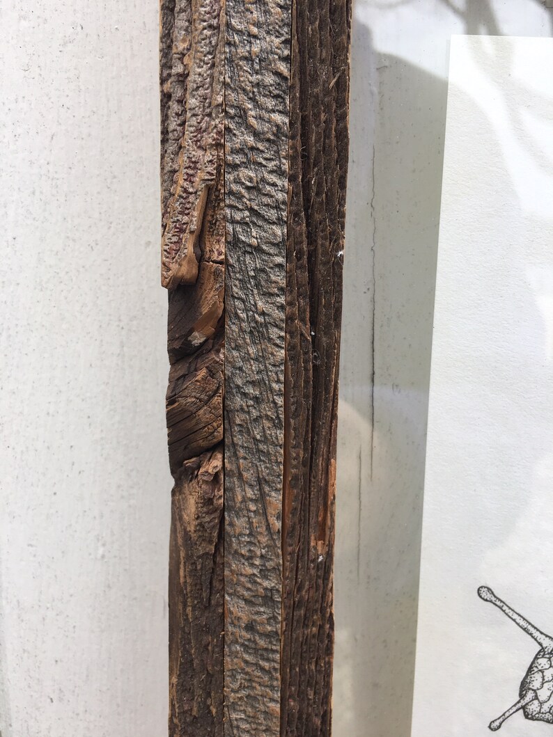 Original Pen and Ink Snail Drawing Reclaimed Wood Frame - Etsy