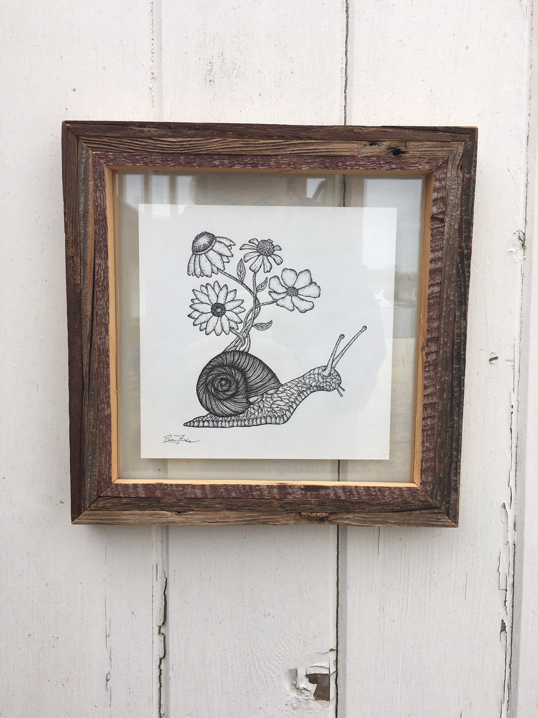 Original Pen and Ink Wildflower Snail Drawing Reclaimed Wood Frame - Etsy