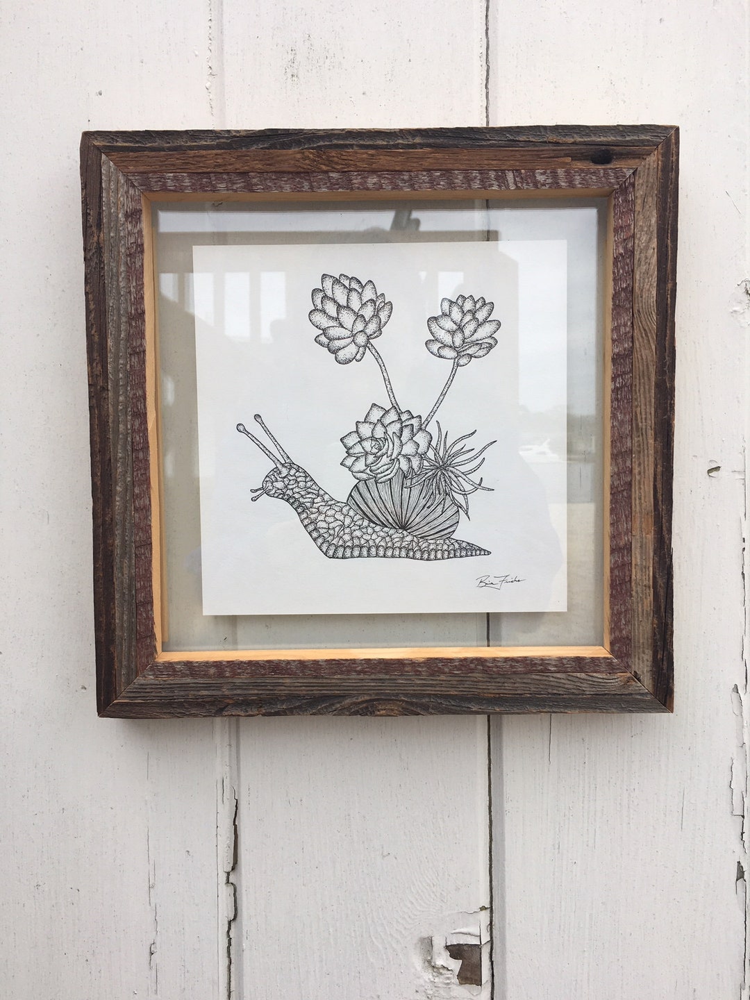 Original Pen and Ink Succulent Snail Drawing Reclaimed Wood Frame - Etsy