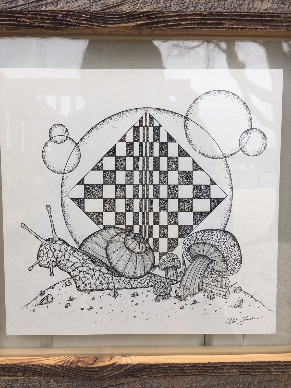 Original Pen and Ink Snail Drawing Reclaimed Wood Frame - Etsy