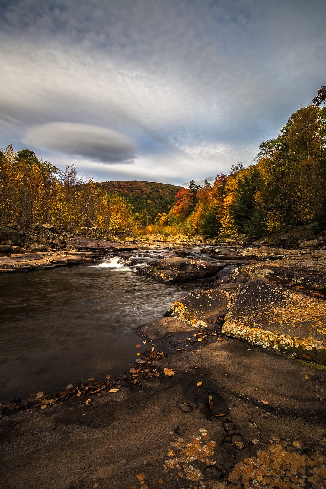 Dolly Sods Wilderness Fall Colors - Etsy