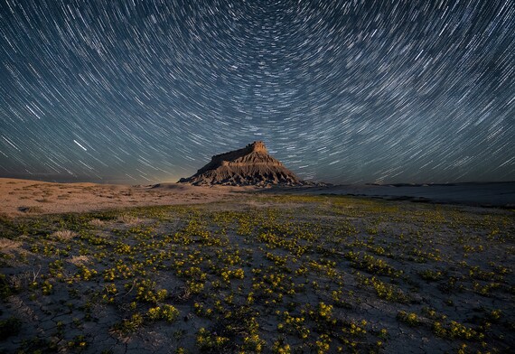 Super Bloom at Factory Butte | Etsy