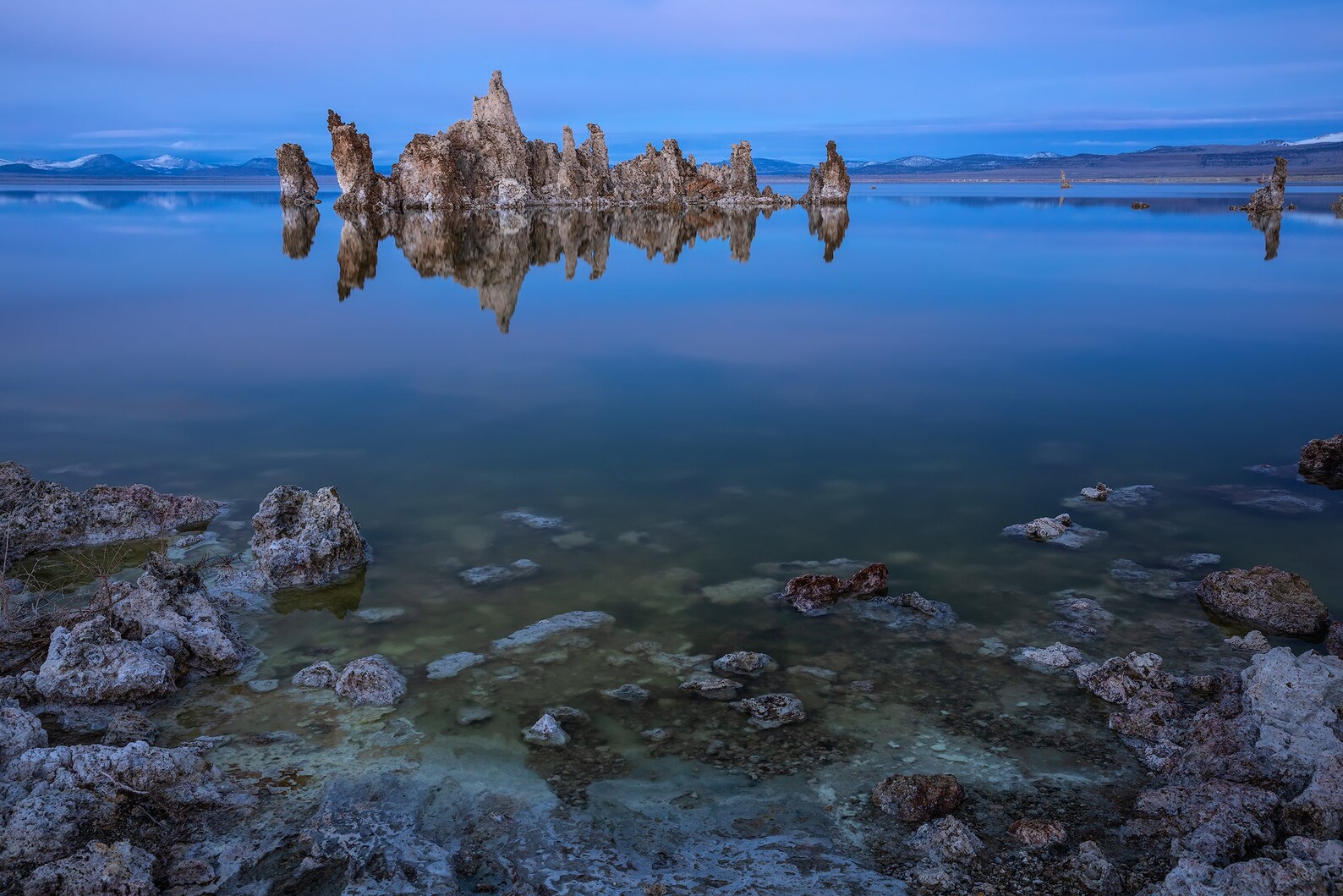 Mono Lake Osprey Tufa - Etsy