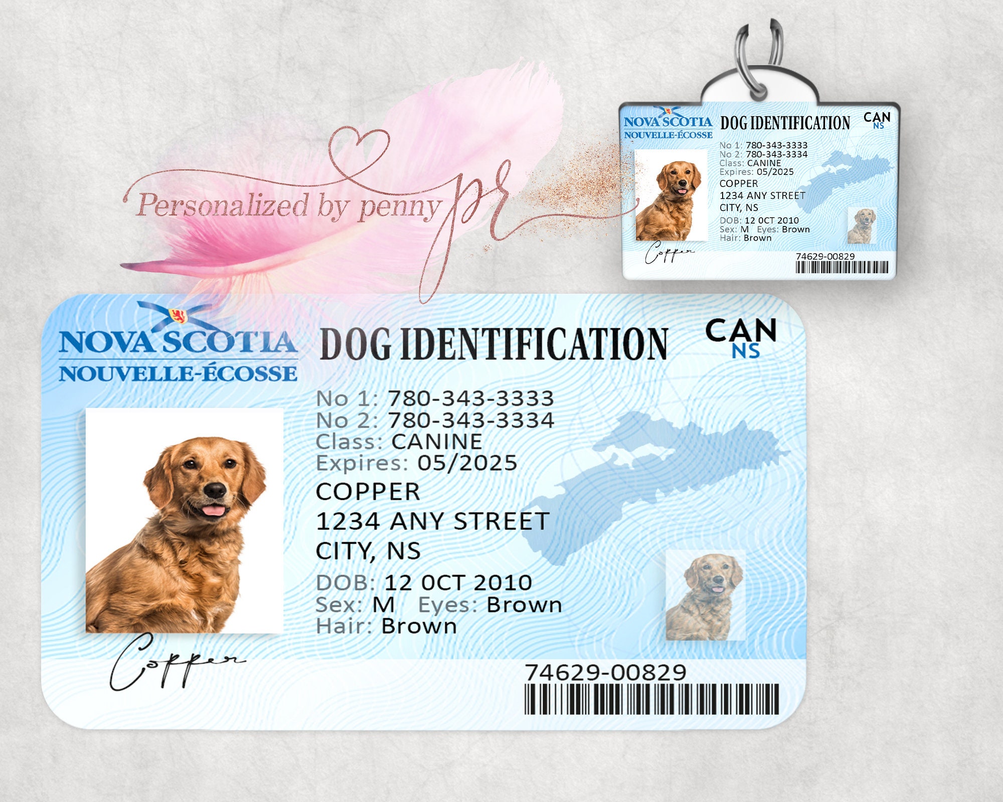 Printable Pet Id Card Template Customize And Print