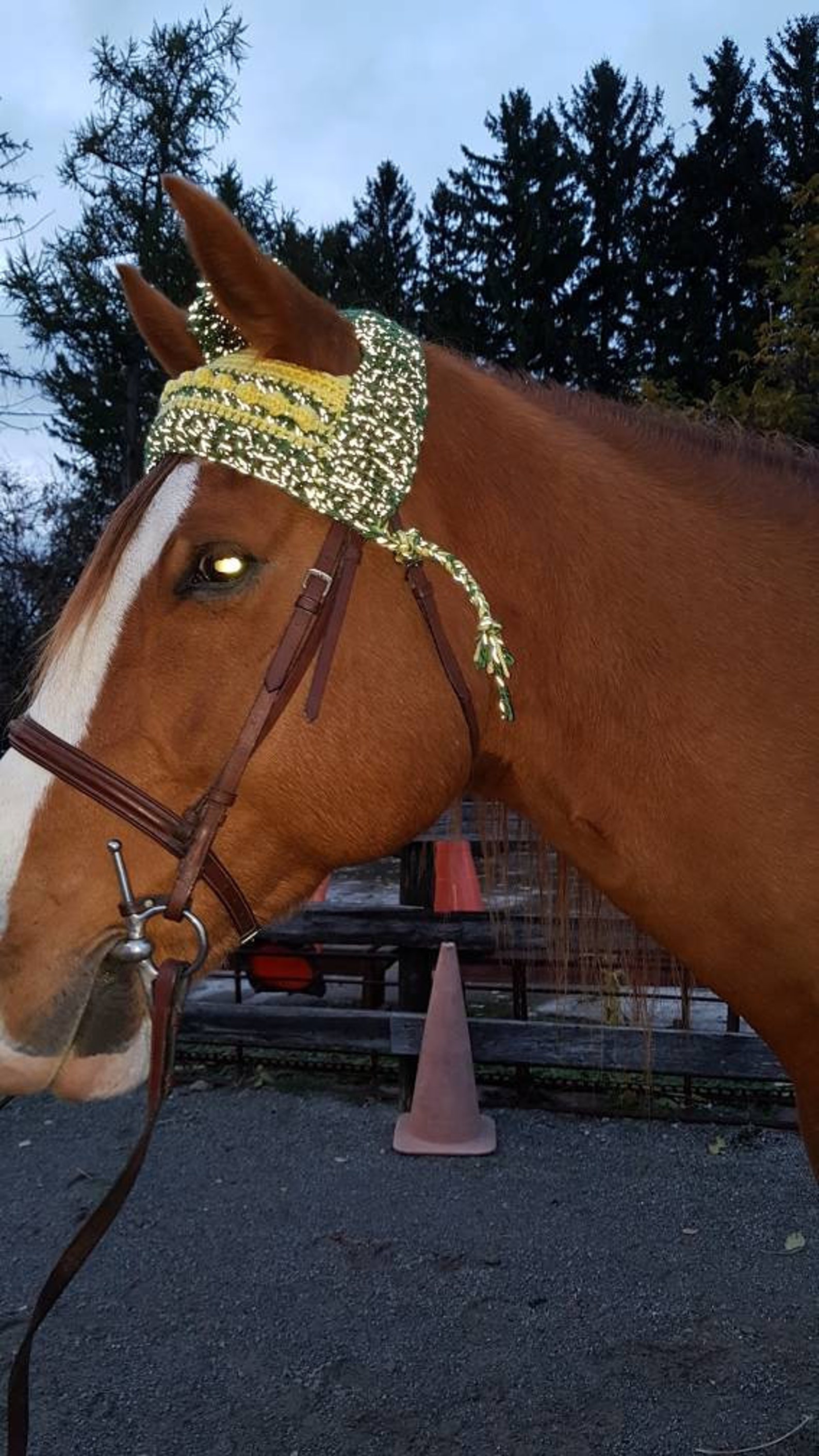 Reflective Winter Horse Bonnet - Etsy