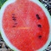 MINIATURE PUREHEART Icebox Seeded Red WATERMELON. Very Sweet and Small ...