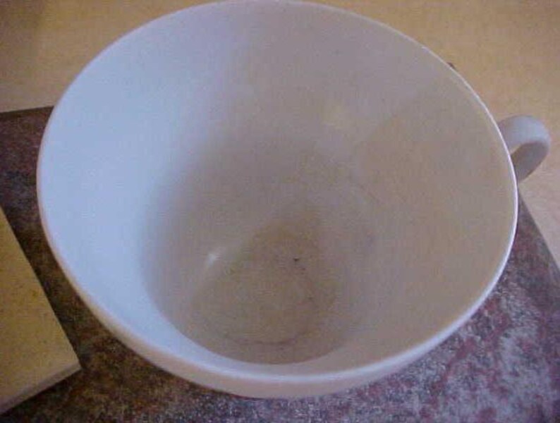Very Strange!? Vintage Have Had This TEA CUP Since the Mid-1970s Must ...