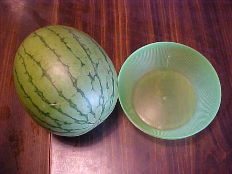 MINIATURE PUREHEART Icebox Seeded Red WATERMELON. Very Sweet - Etsy