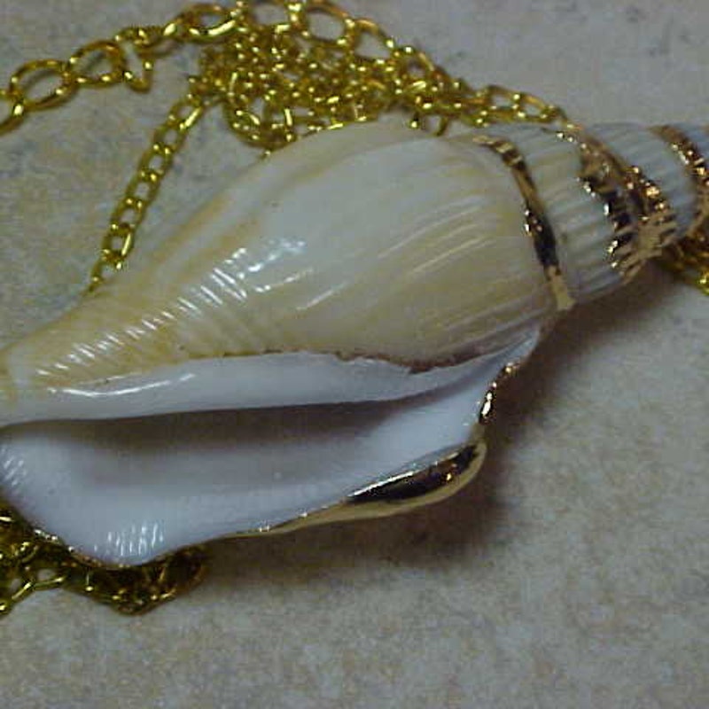Shell Creations - Etsy