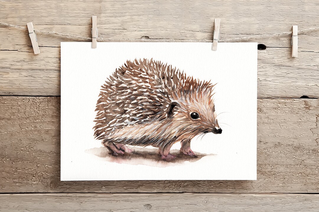 Igel Aquarell, Igel Bild, Igel Kunst, Igel Geschenk, A5 Print, Wild Art ...