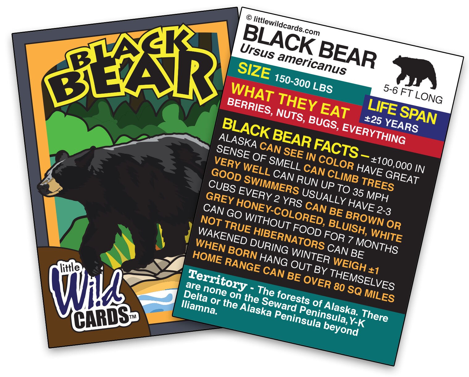 Alaska Animal Trading Cards SET 2 incluye: oso negro, cuervo, ballena ...