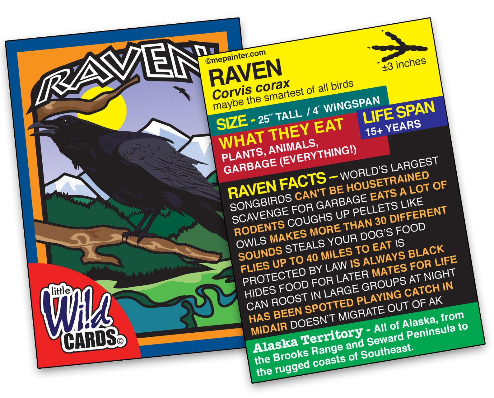 Alaska Animal Trading Cards SET 2 incluye: oso negro, cuervo, ballena ...