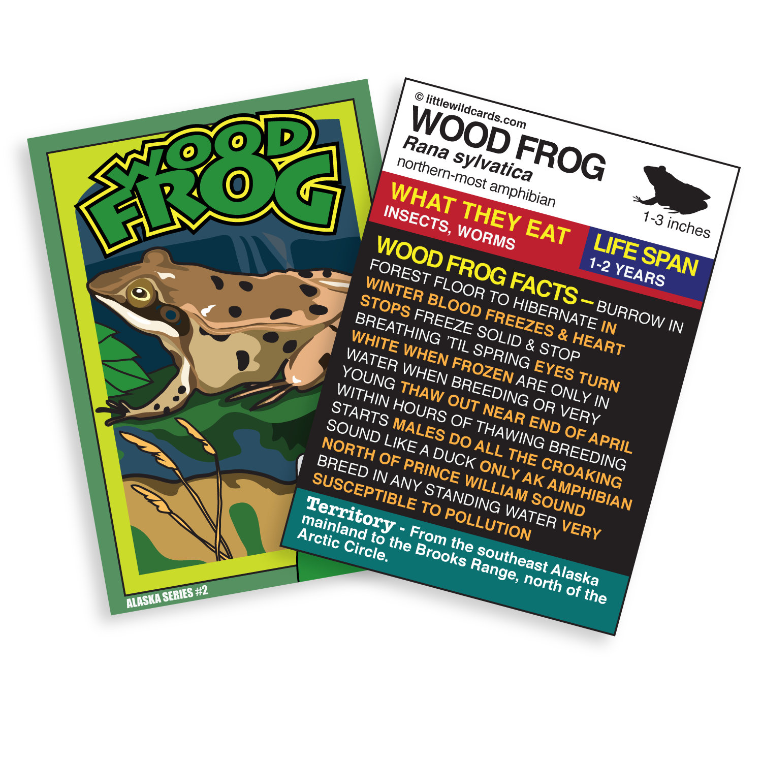 Alaska Animal Trading Cards SET 2 incluye: oso negro, cuervo, ballena ...