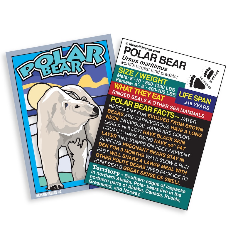 Alaska Animal Trading Cards - SET 2 Includes: Black Bear, Raven, Beluga ...