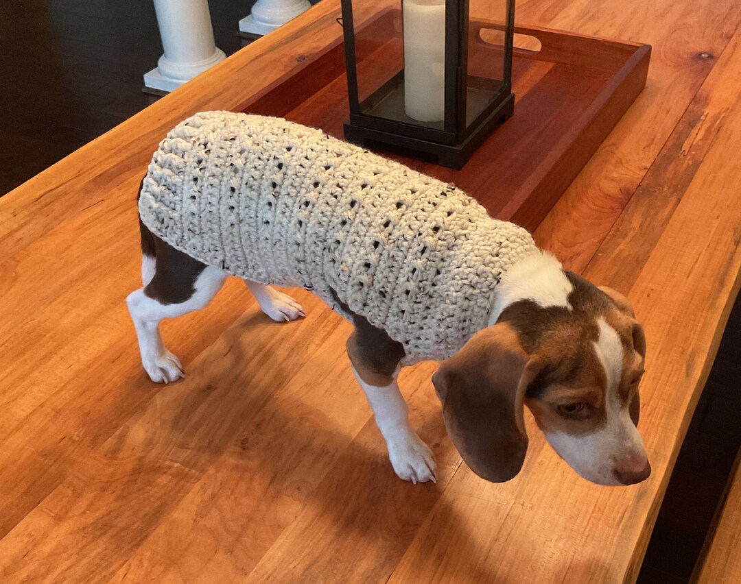 Miniature Dachshund Dog Crochet Sweater Cardigan Coat in Cream Flecked ...